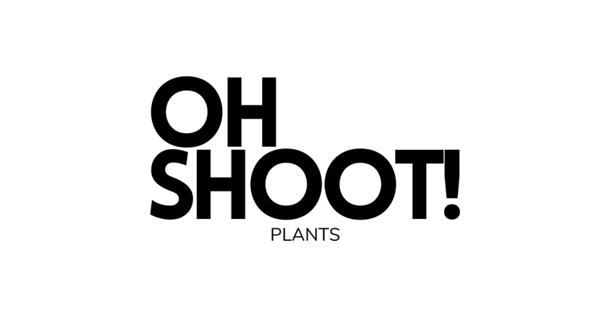 Plant Care – Oh Shoot! Plants